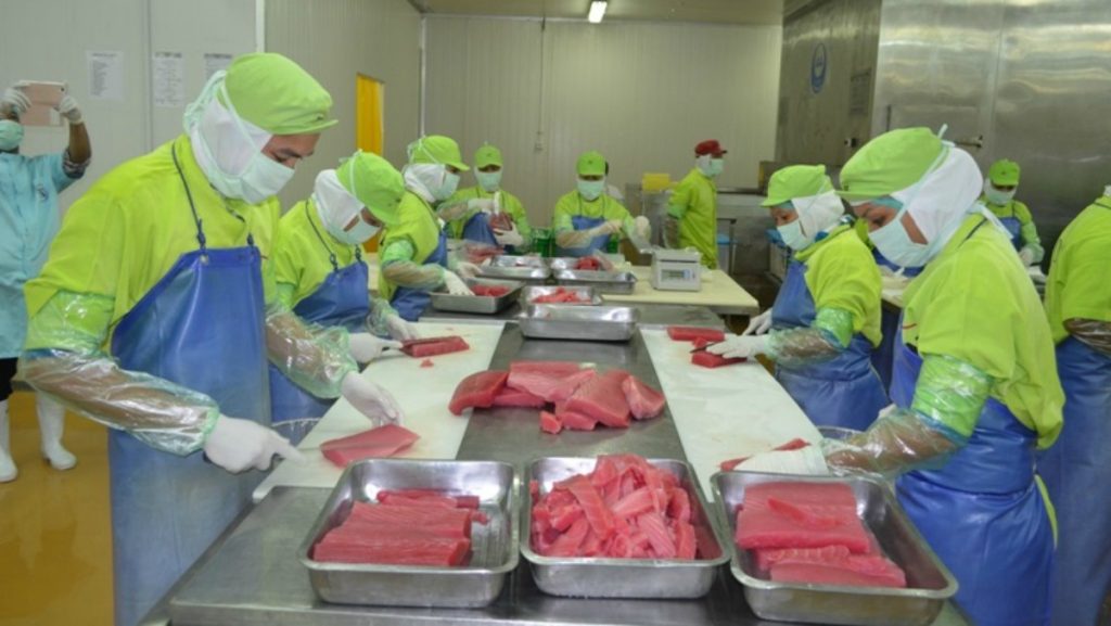 About Us (Indonesia Tuna Production, Tuna Factory and Manufacturer ...